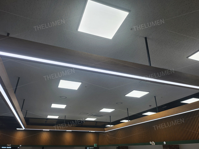 백색도장 / TL6035-W 시공사례